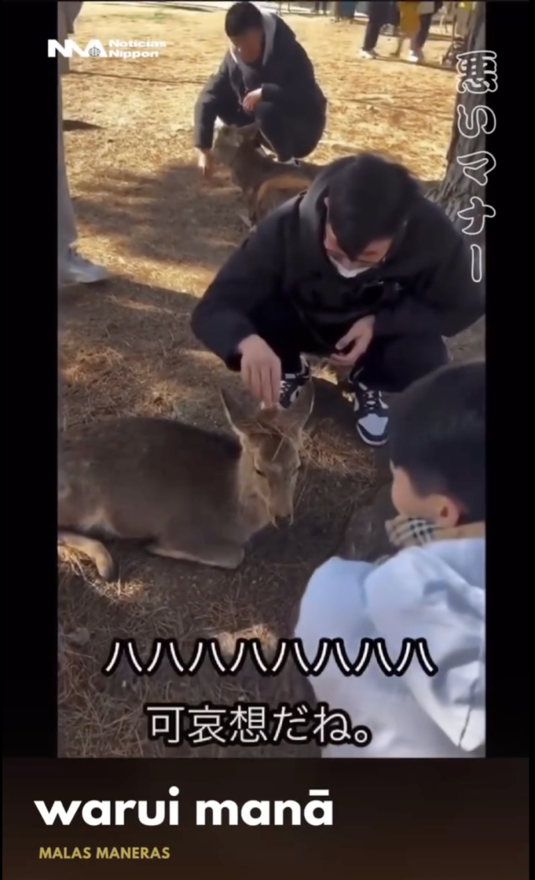 [warui manā] extranjeros y los siervos de Nara – Noticias Nippon